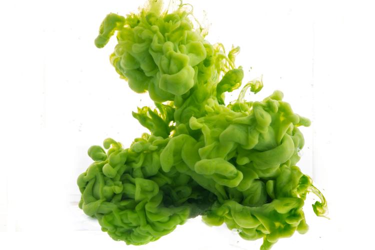 Does Sodium Hypochlorite Kill Algae?-Shine HOCl